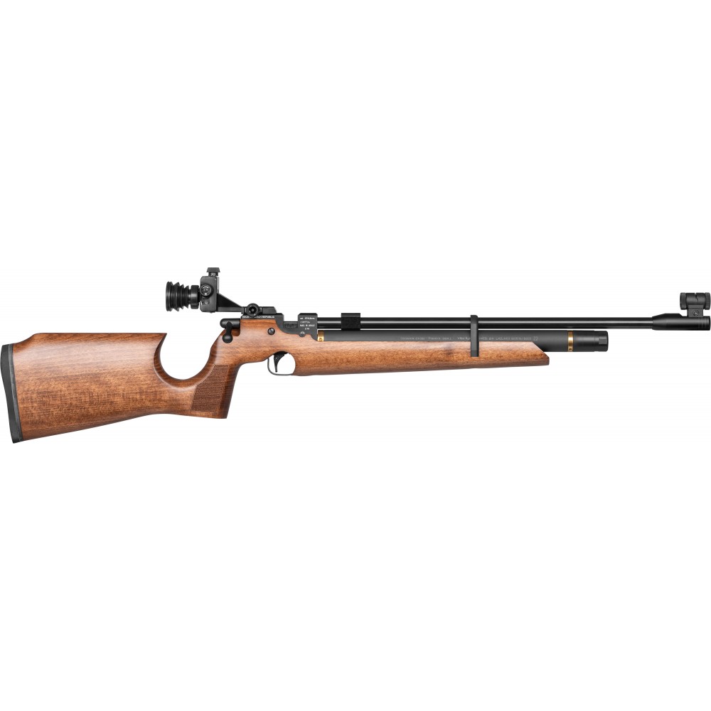 Air Arms S200 Target