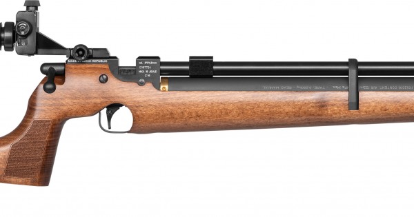 Air Arms S200 Target